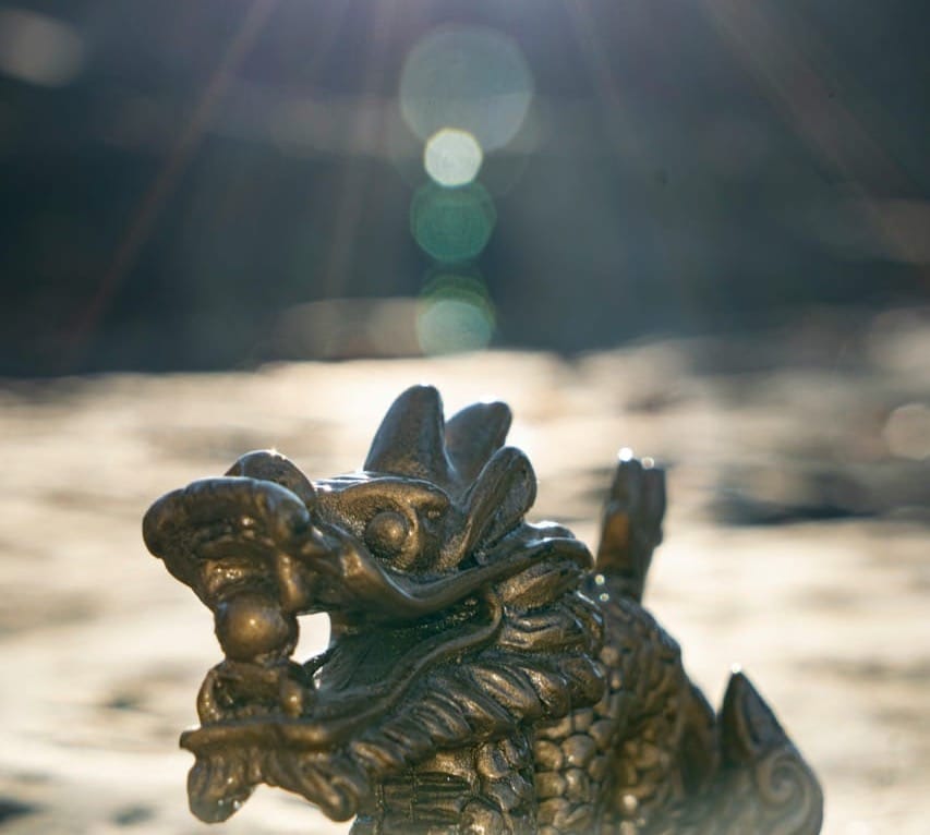 Lens Flare: Aprenda a Usar os Reflexos da Lente ao seu Favor