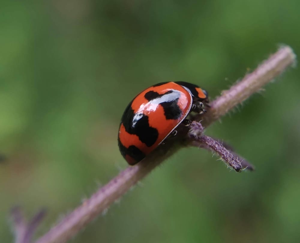 Formatos de Fotos e Imagens: Dimensões e Padrões Essenciais