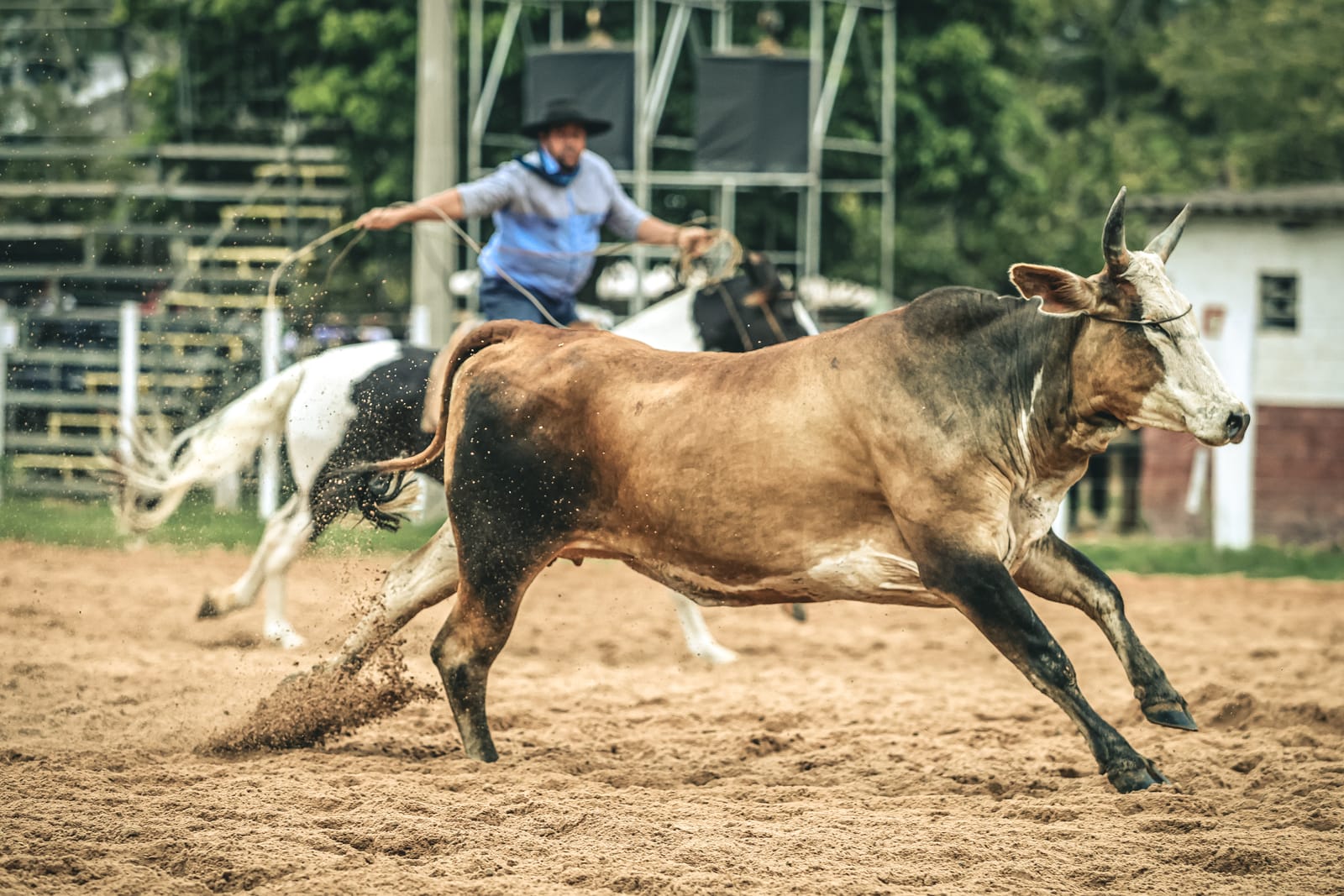 Definição de Foto: Significado, Principais Elementos e mais